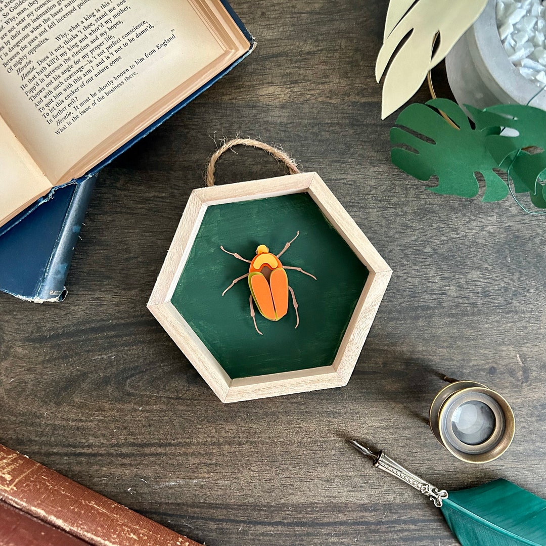 Papercut Orange Beetle | Entomology Art | Paper Sculpture | Framed Art ...