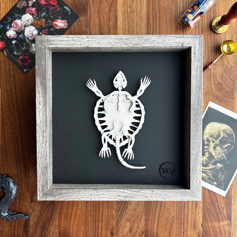 Paper Cut Turtle Skeleton Framed Turtle Skeleton Fake Turtle Skeleton ...