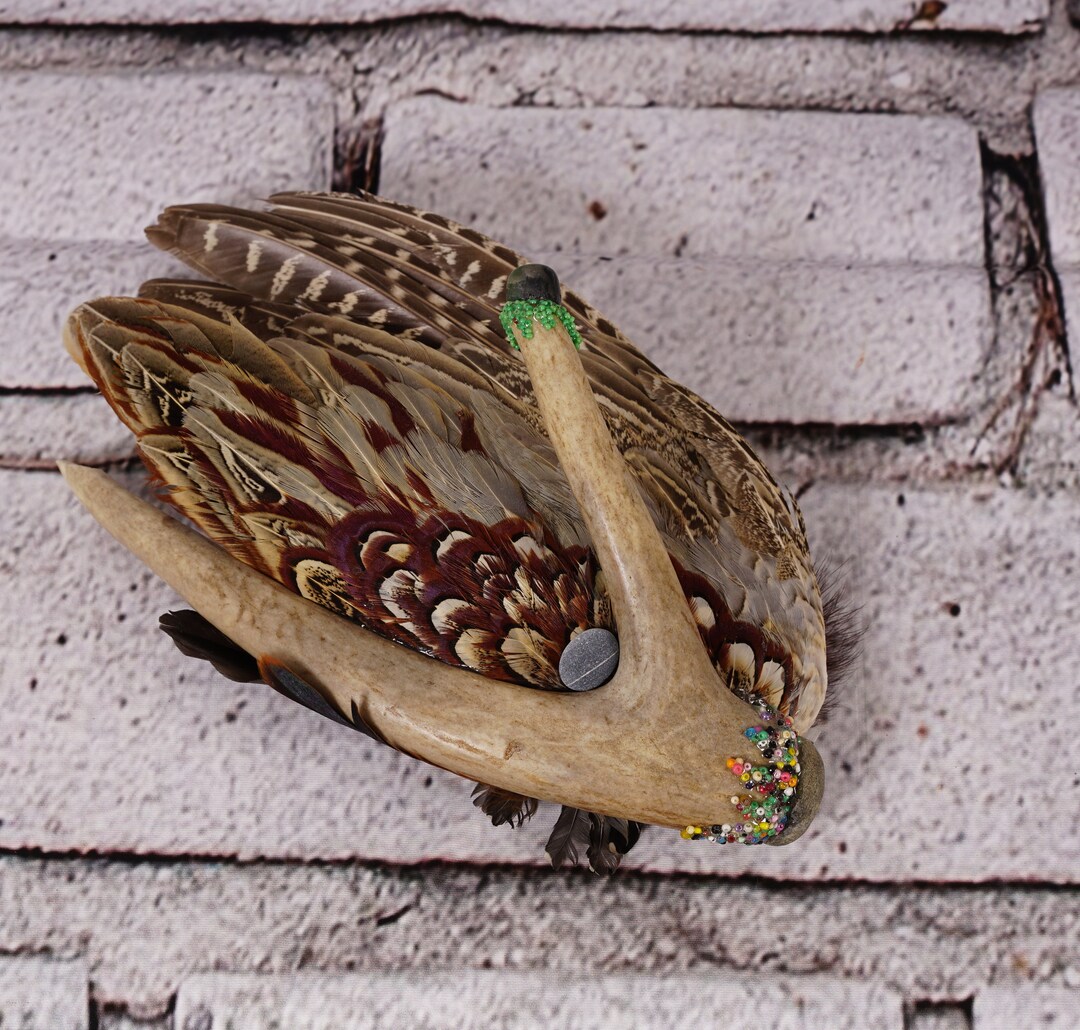 Abanico de manchas, taxidermia, cornamenta, pluma, piedra bruja, ciervo ...