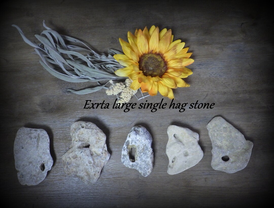 EXTRA Large Hag Stones, One of Five. Natural Hag Stone, Odin Stone ...