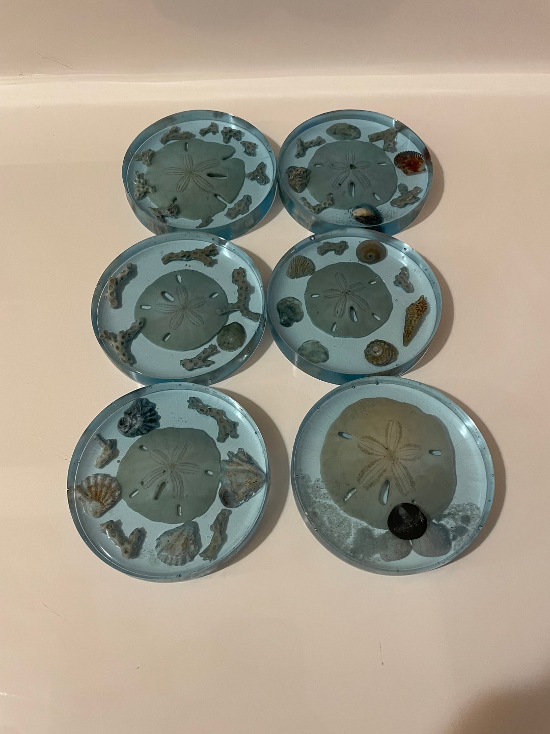 Sand Dollar Coaster - Etsy