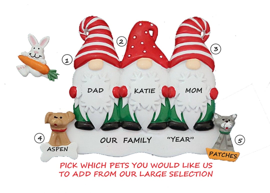 Personalized Gnome Family 3 With 2 Dogs, Cats or Bunnies Christmas ...