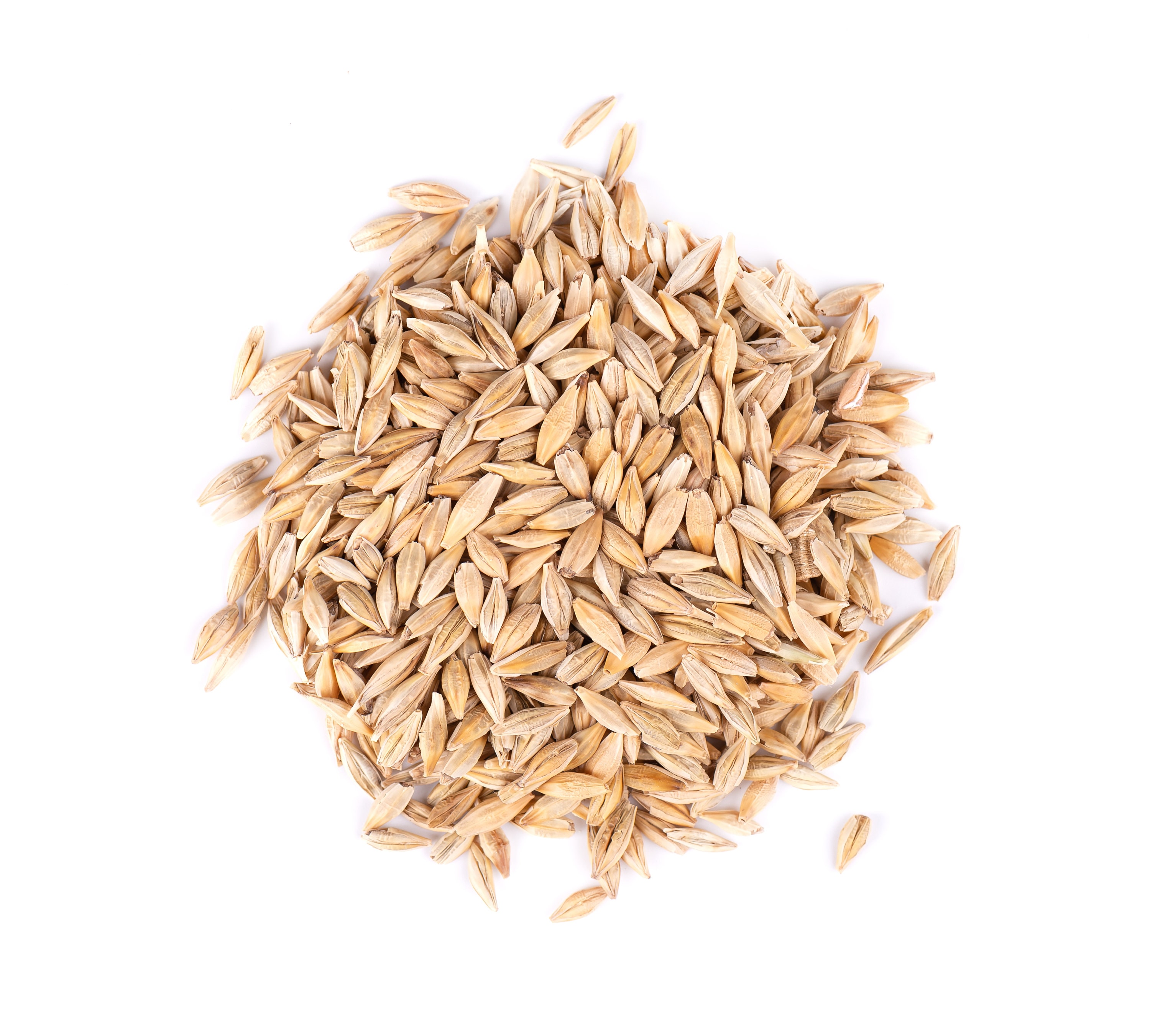 Thunder Acres Barley Seed - Certified Organic - Non-gmo - Etsy