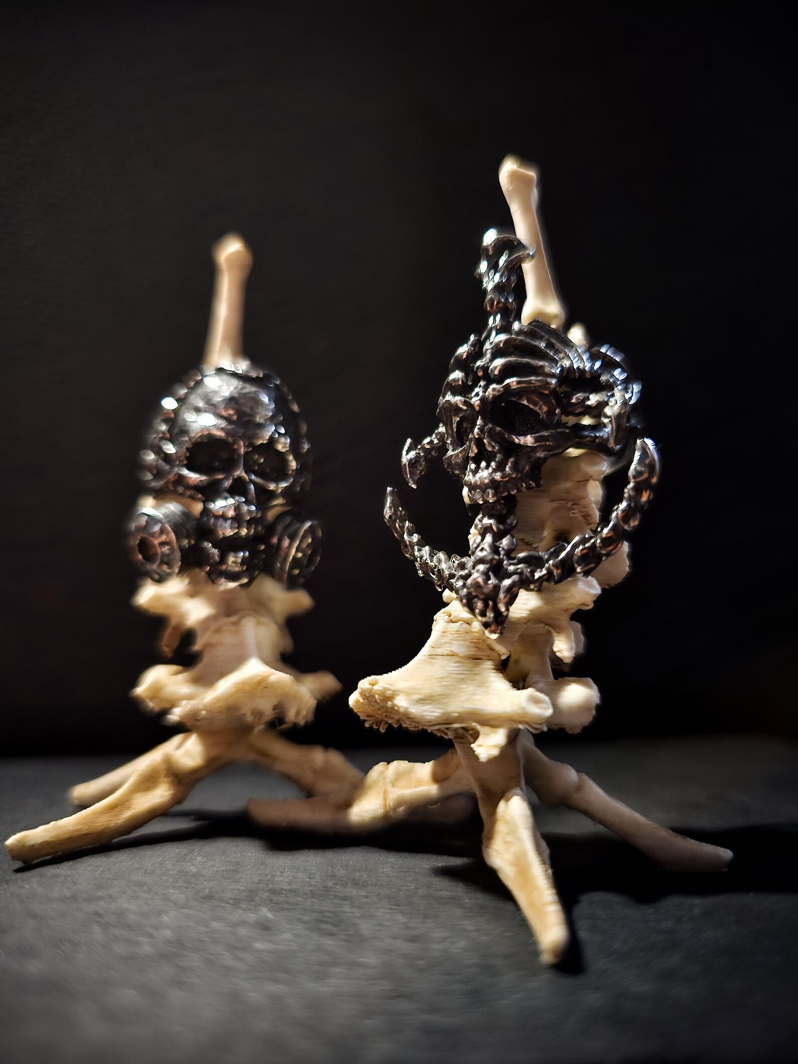 Spinal Ring Stand | Vertebrae Jewelry Display | Skeleton Ring Holder ...