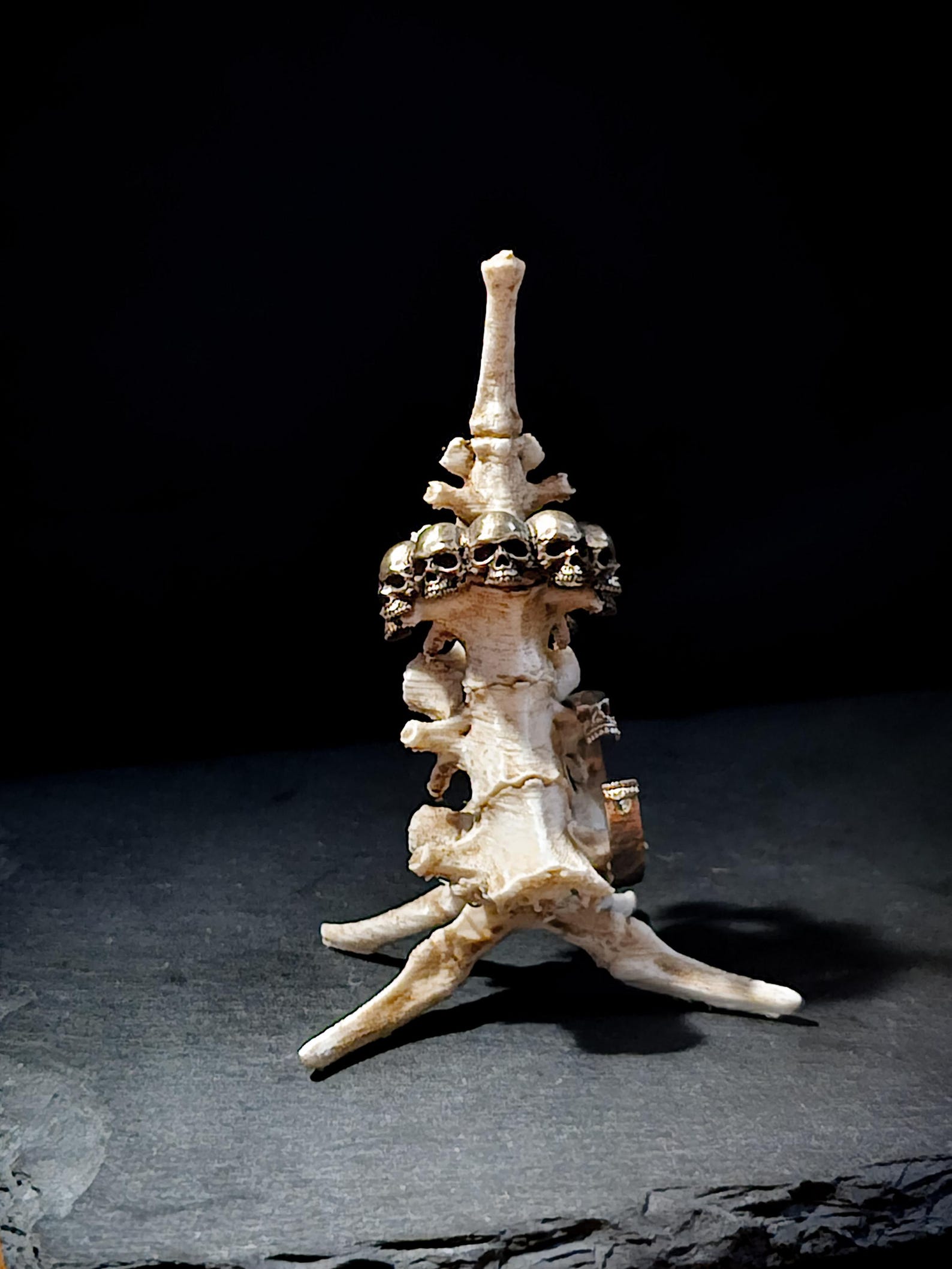 Spinal Ring Stand | Vertebrae Jewelry Display | Skeleton Ring Holder ...