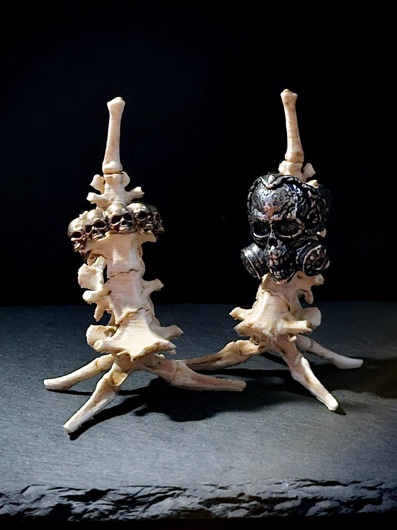 Spinal Ring Stand | Vertebrae Jewelry Display | Skeleton Ring Holder ...