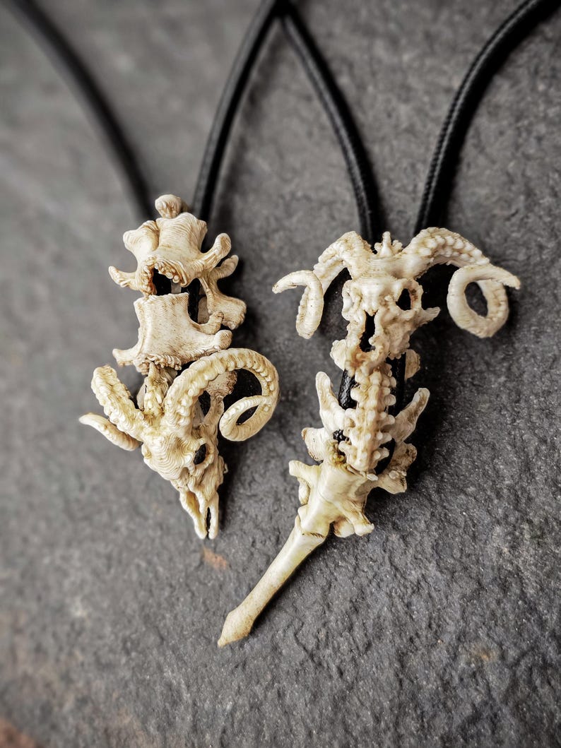 Goat Vertebrae Spinal Pendant | Modular Sheep Skeleton Bone Cord ...