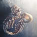 Gothic Unique Embrace Skull Skeleton Adjustable Ring | Brass and 925 ...