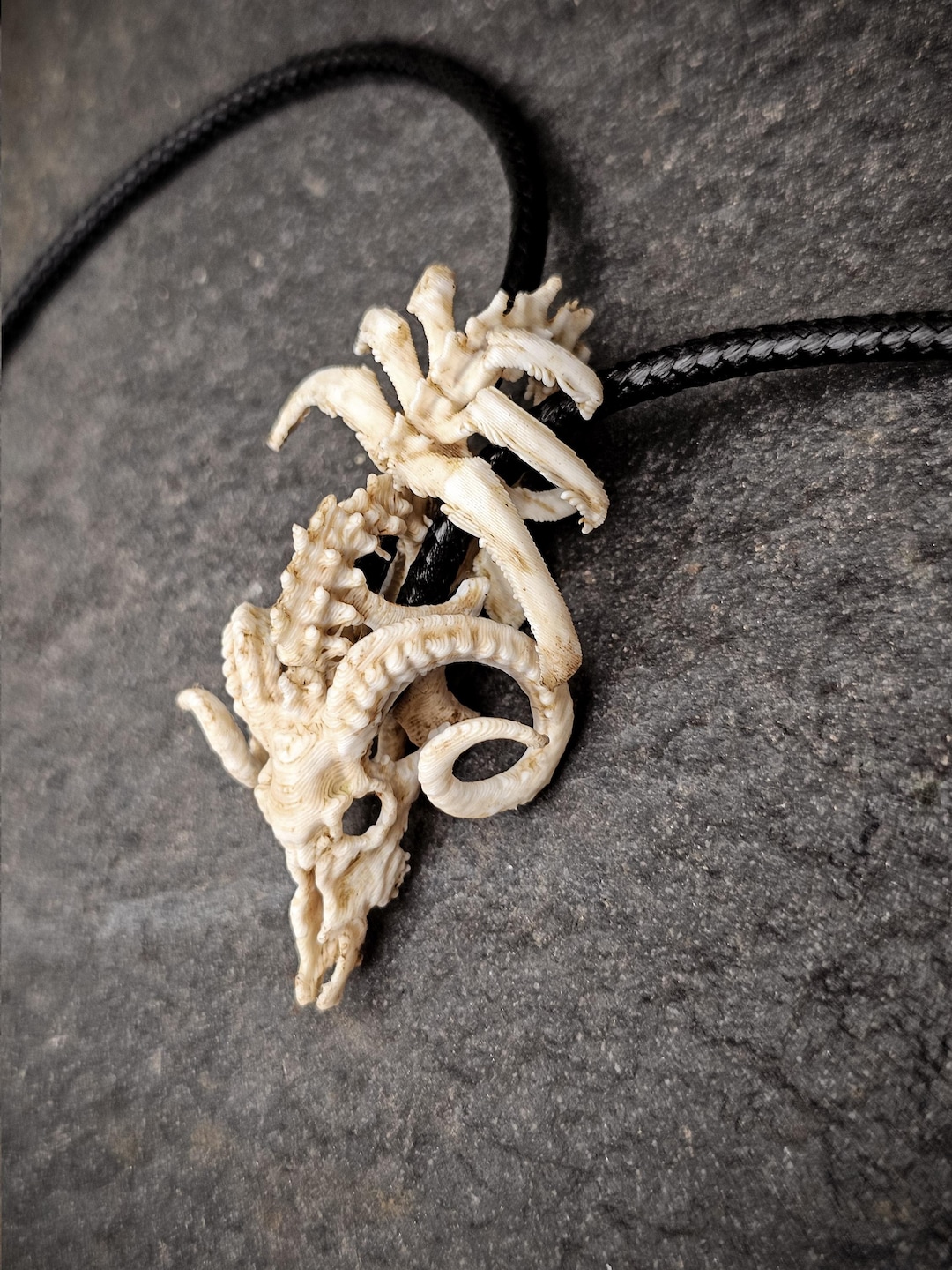 Goat Vertebrae Spinal Pendant | Modular Sheep Skeleton Bone Cord ...