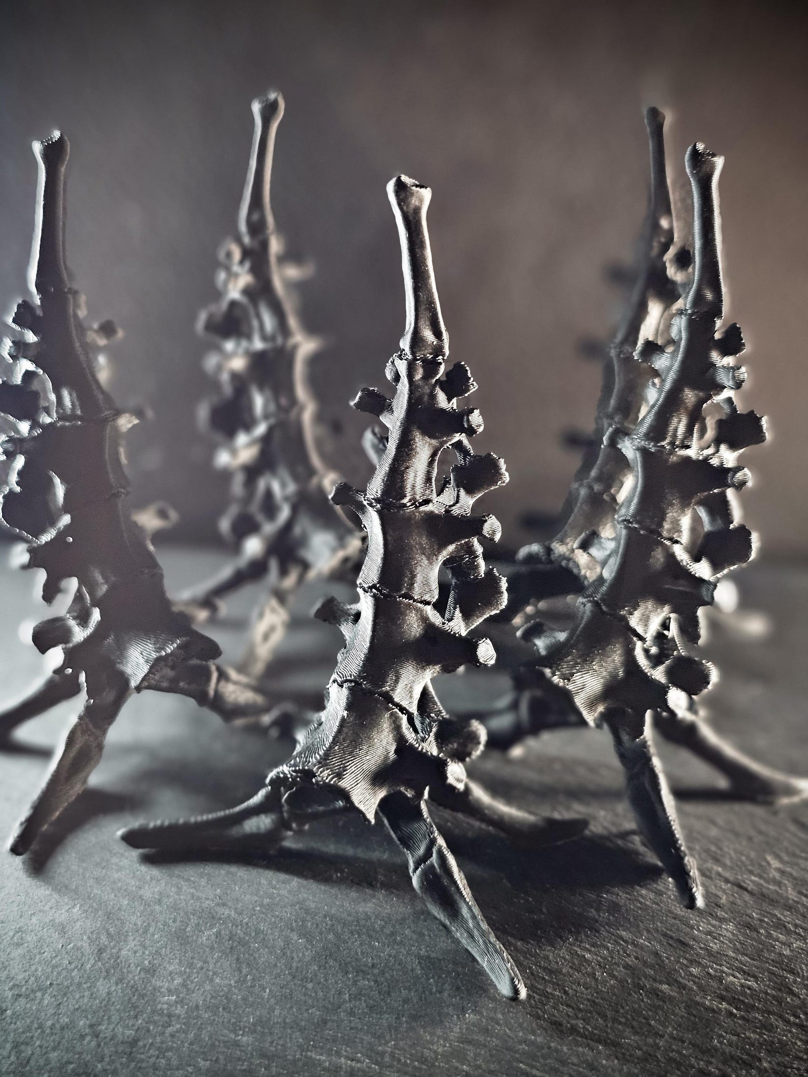 Spinal Ring Stand | Vertebrae Jewelry Display | Skeleton Ring Holder ...