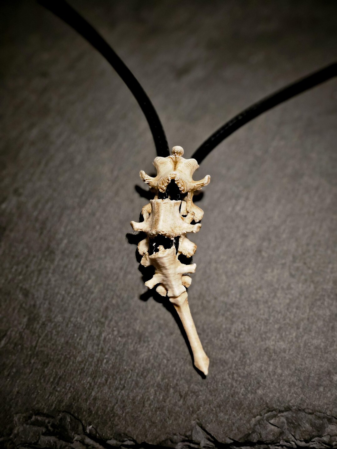 Vertebrae Spinal Pendant | Modular Skeleton Bone Cord Necklace | 3 ...