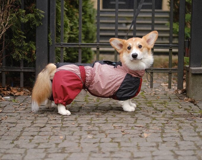 Corgi Rain Jacket - Etsy