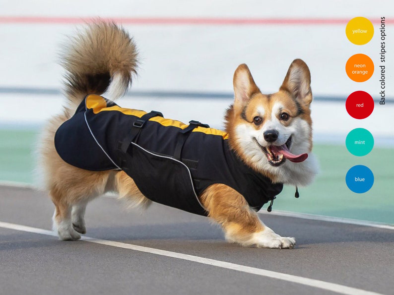 Dachshund / Corgi Waterproof Dog Raincoat Membrane Material | Etsy