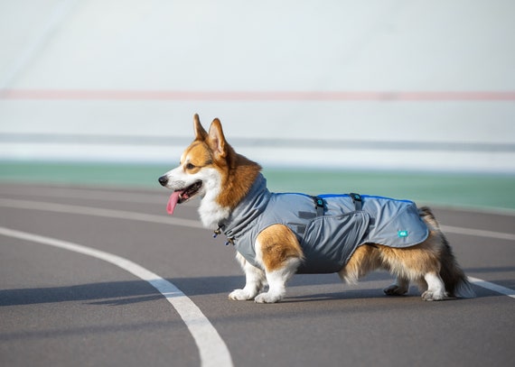 Dachshund / Corgi Waterproof Dog Raincoat Membrane Material | Etsy