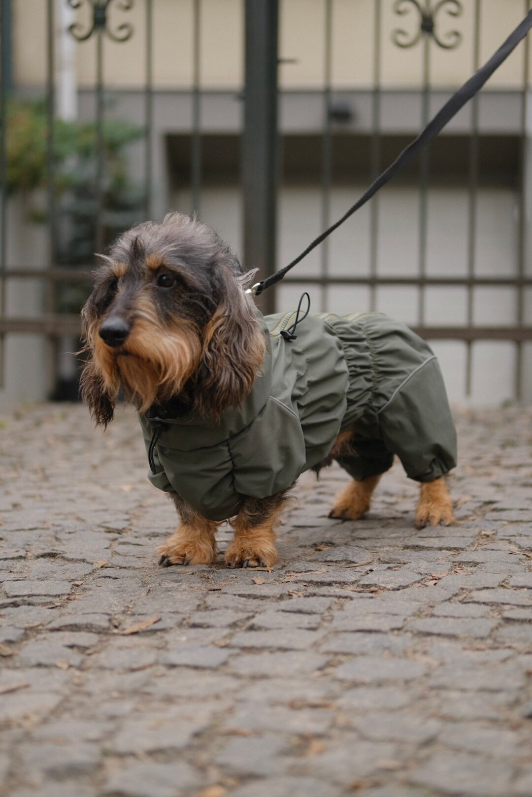 Dachshund Corgi Waterpoof Dog Raincoat MEMBRANE Fabric FLEECE or Mesh ...