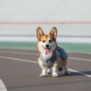 Dachshund / Corgi Waterproof Dog Raincoat Membrane Material - Etsy