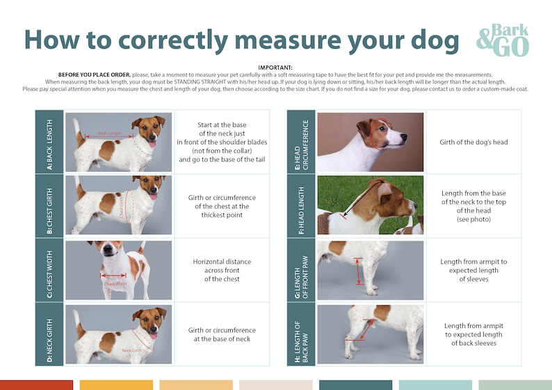 How to Take the Measurements of Your Dog Correctly - Etsy
