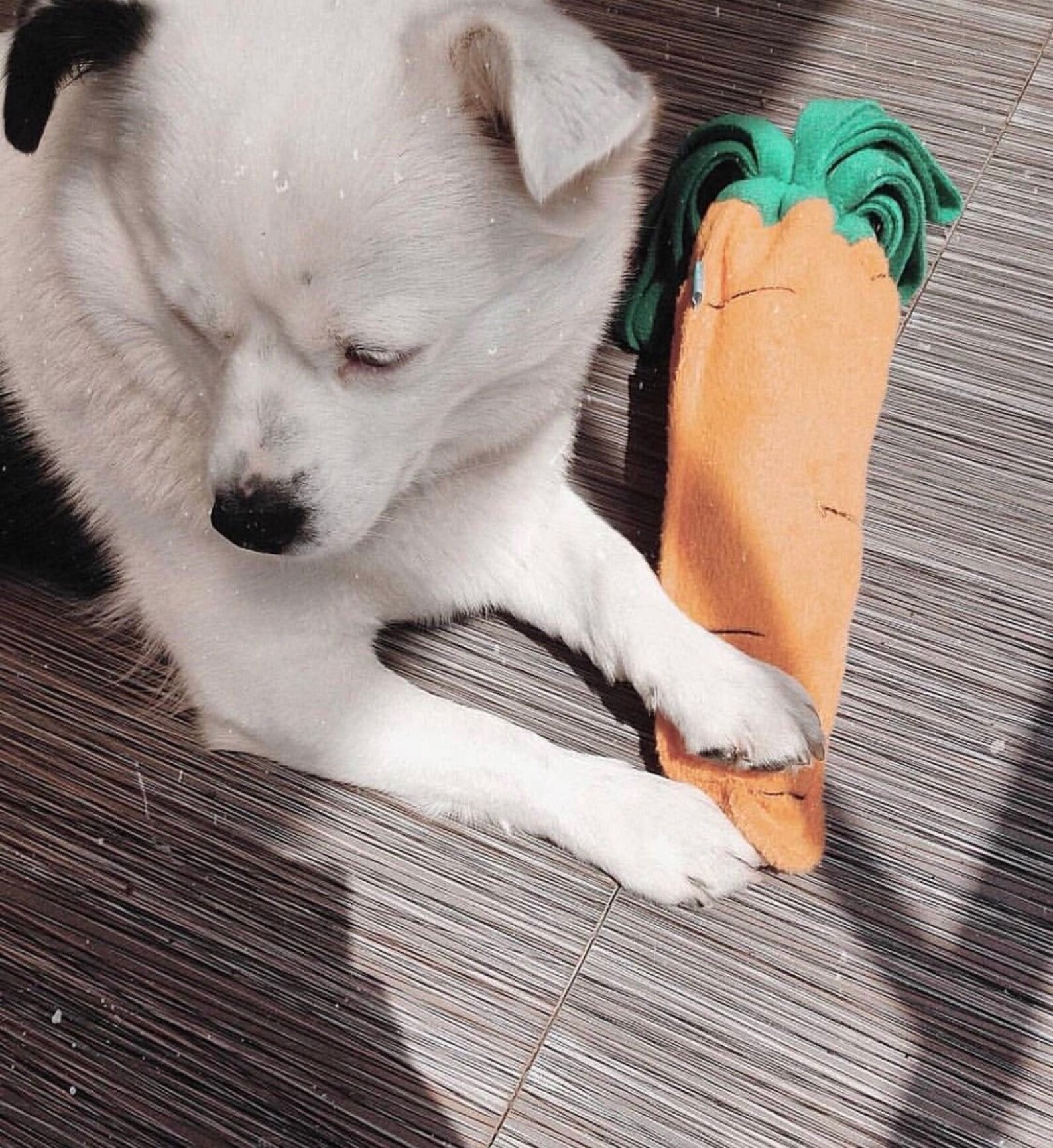 Fleece Dog Toy Plush Carrot Eco Toy Carrot Soft Toy - Etsy