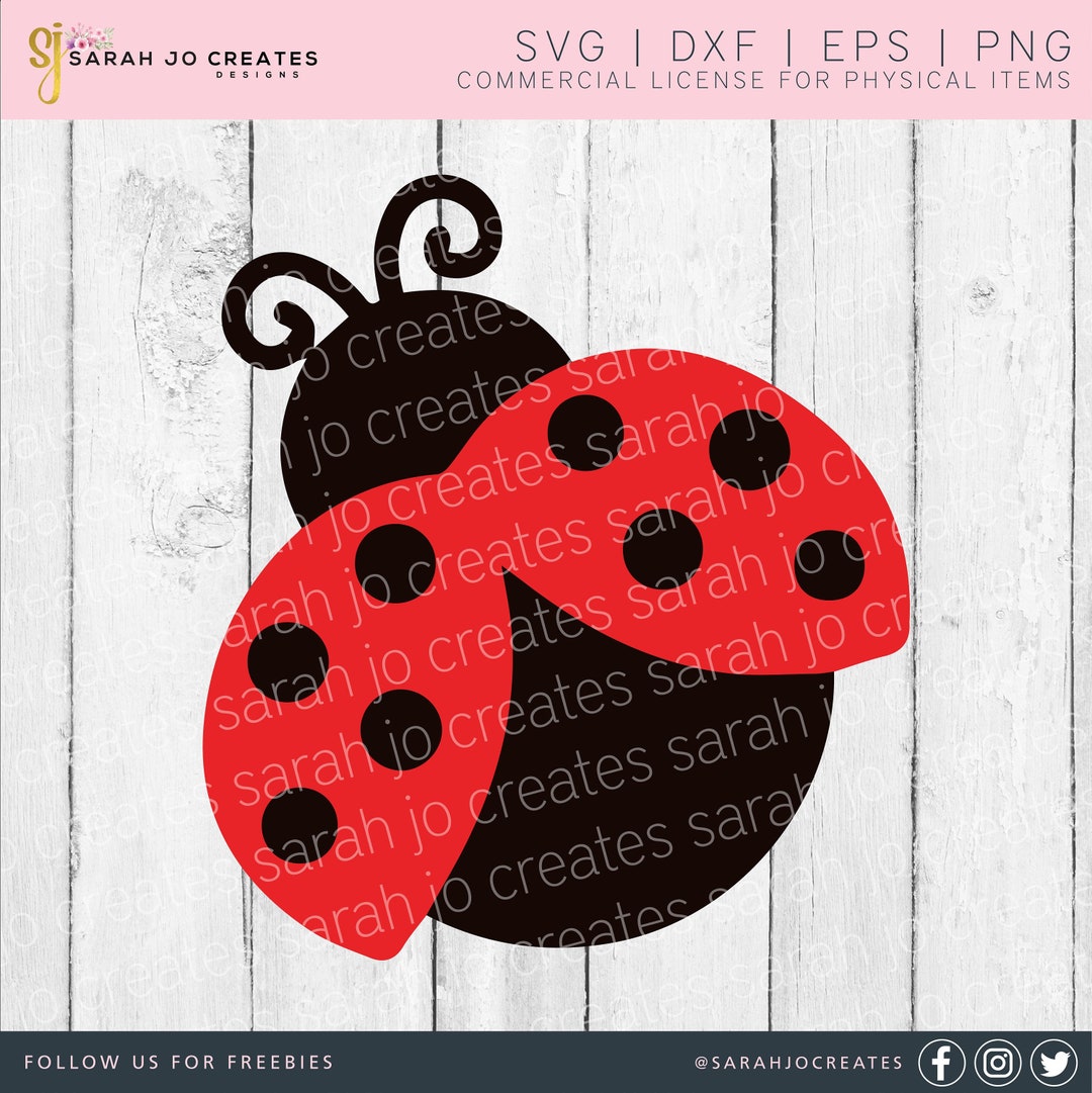 Lady Bug SVG - Animal SVG - Lady Bug Silhouette SVG - Cute Lady Bug Svg ...