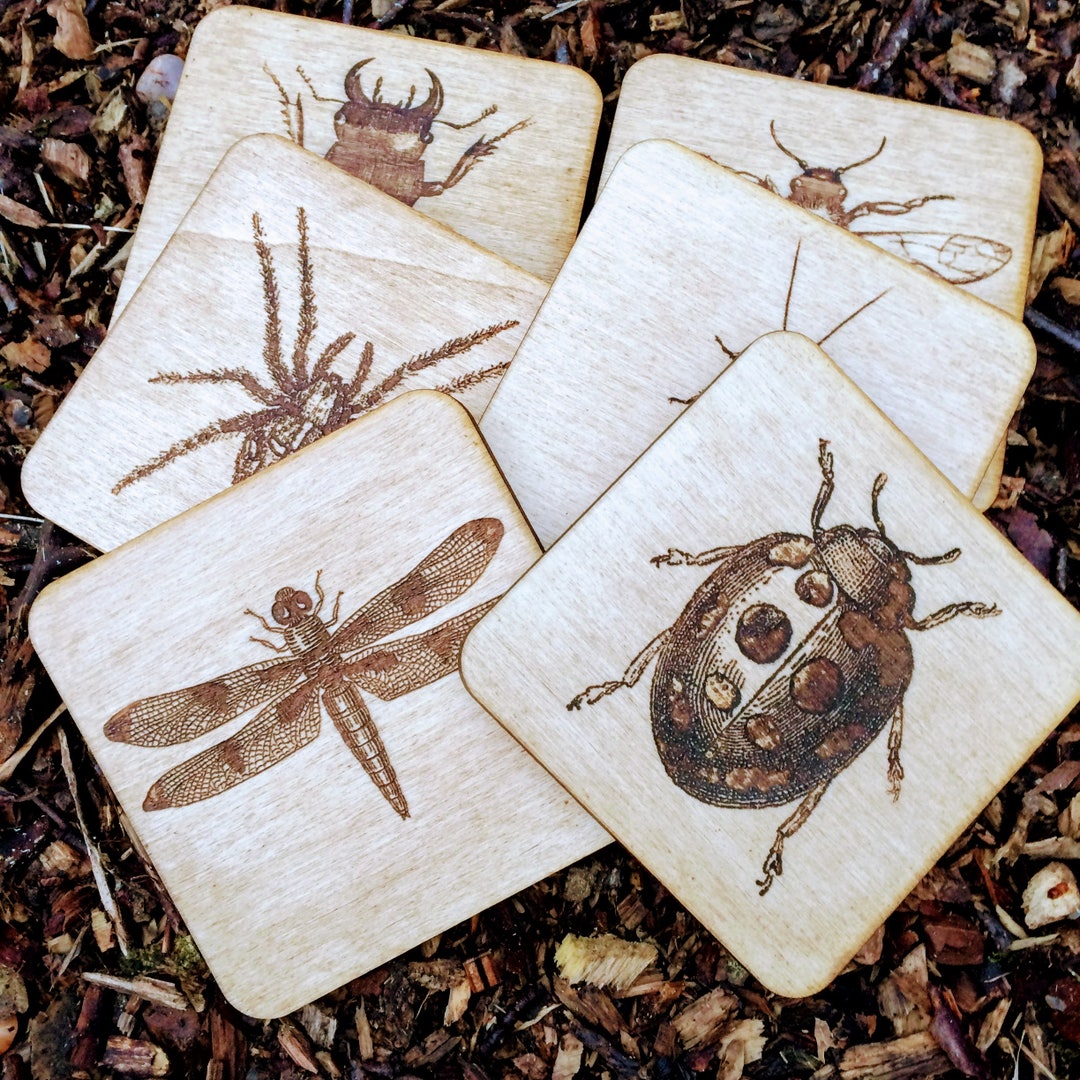Set of 6 Wooden Bug Coasters - Engraved Study of Insect on Wood Coaster ...