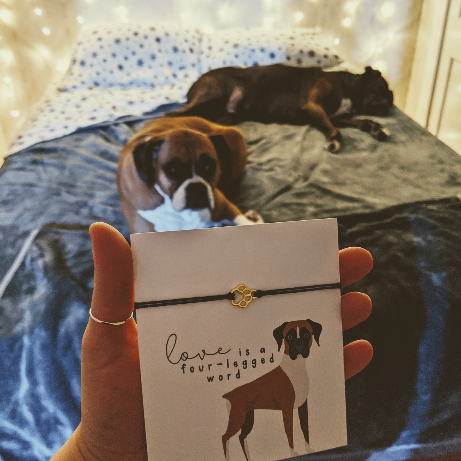 Boxer Dog Gifts Boxer Dog Card Boxer Gift Boxer Mom Boxer | Etsy