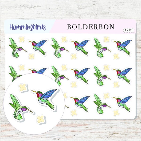 Hummingbird Sticker - Etsy
