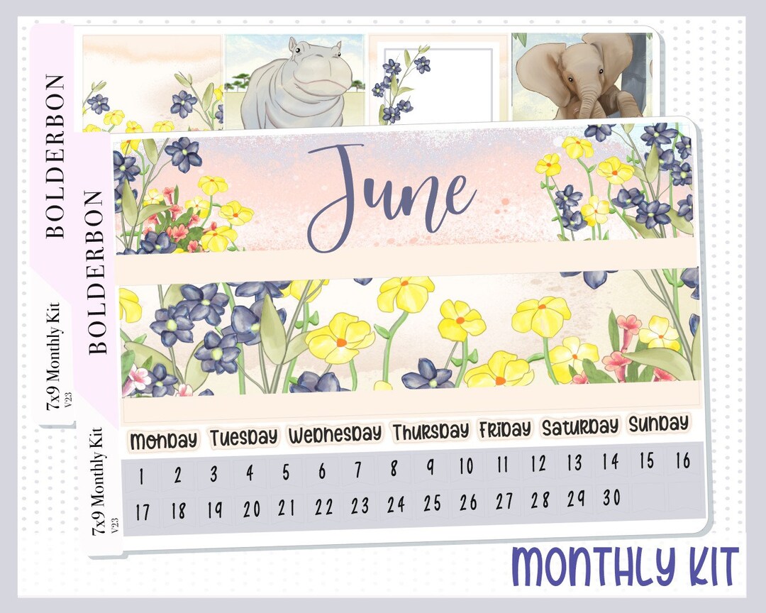JUNE Monthly Sticker Kit 7x9 Erin Condren Planner Stickers, Nature ...