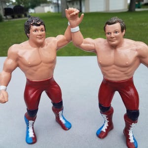 Titan 1986 WWE/WWF LJN British Bulldogs Davey Boy Smith Dynamite Kid ...