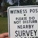 Vintage C. 1960s Witness Post Do Not Disturb Survey Marker Embossed ...