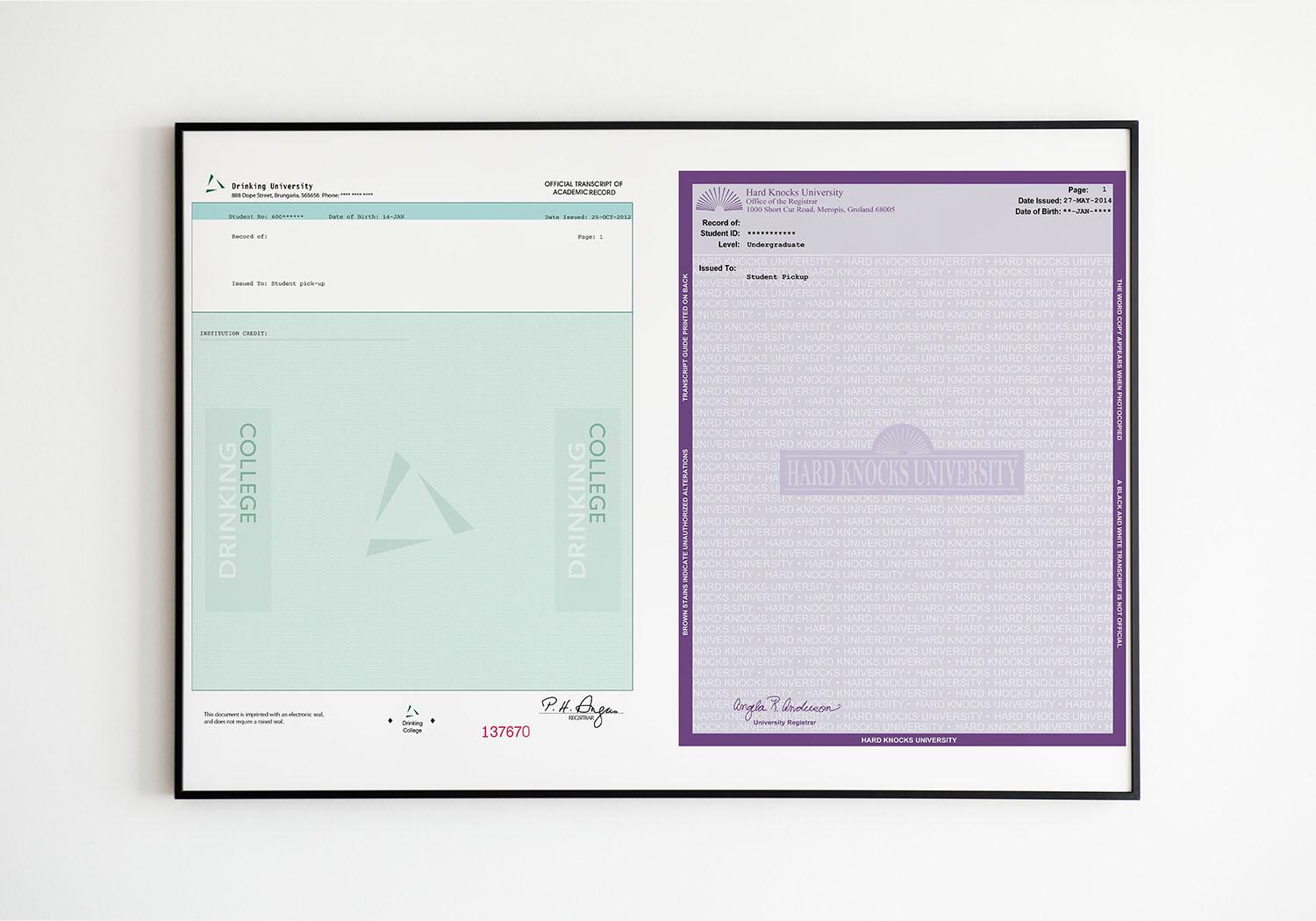 Custom Joke Diploma, Fake Diploma, Funny Certificate, Transcript ...