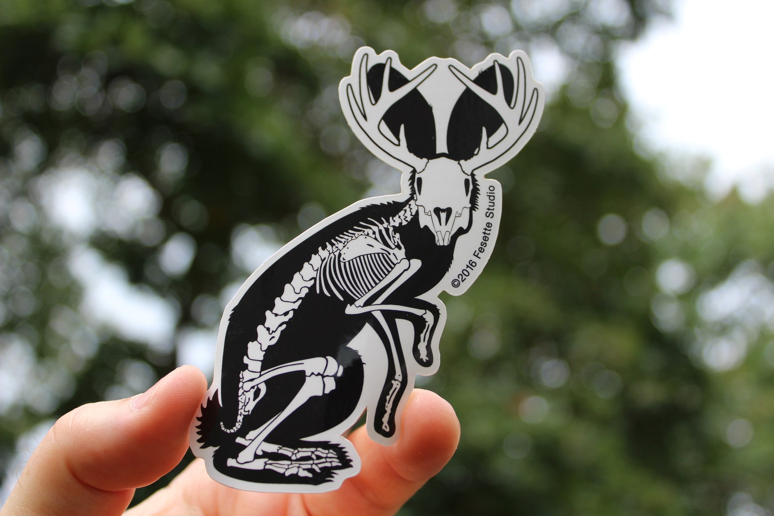 Jackalope Sticker | Etsy