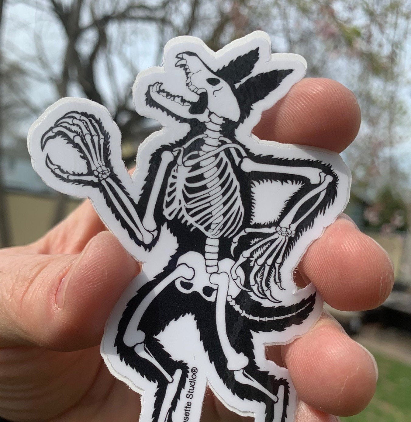 Werewolf Skeleton