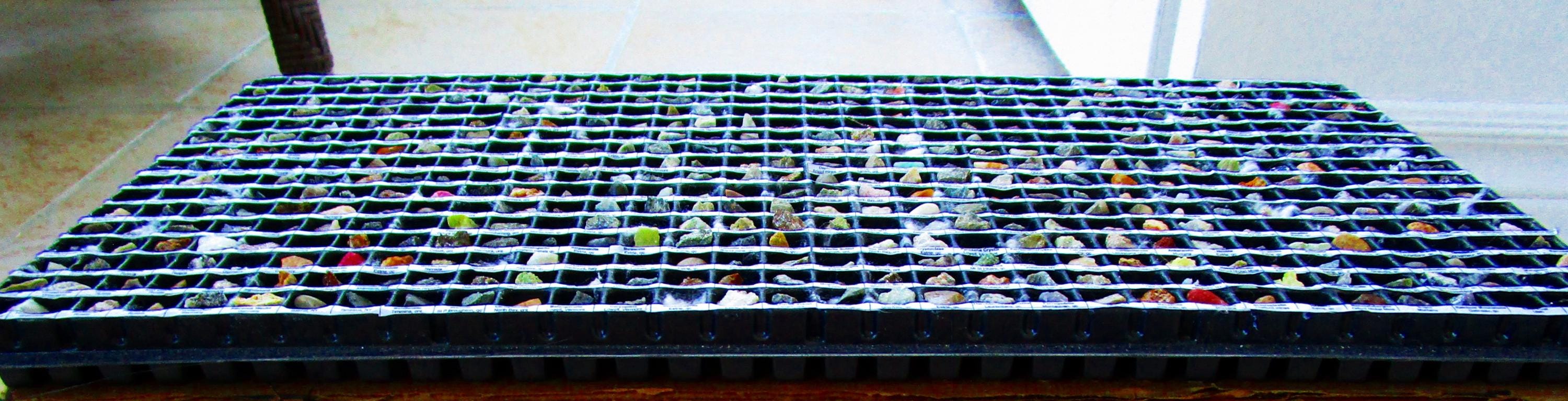 512 Rocks & Minerals Geology Tray Classified Specimen With Crystals and ...