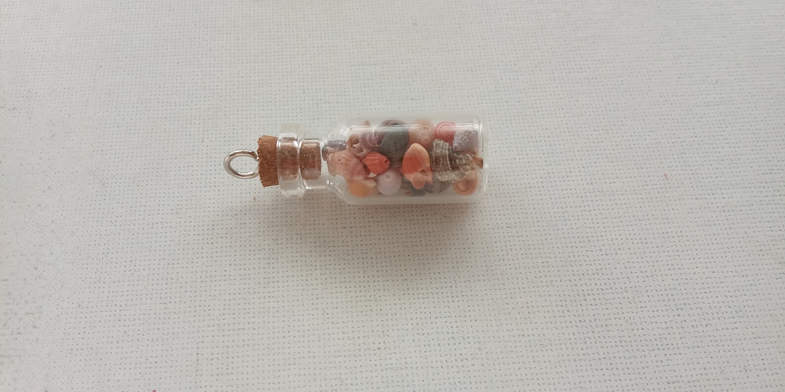 Small Sea Shells in Glass Bottle for Miniature Garden - Etsy