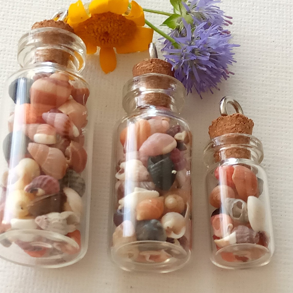 Small Sea Shells in Glass Bottle for Miniature Garden | Etsy