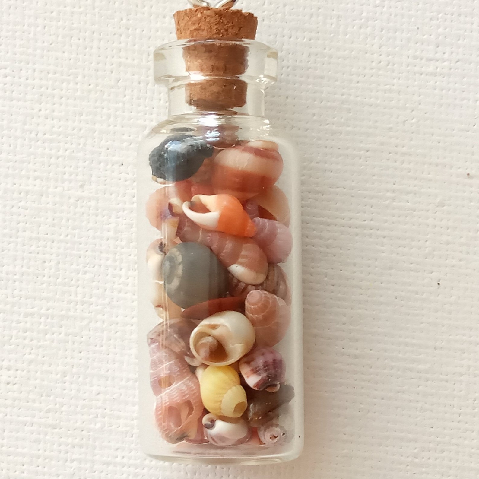Small Sea Shells in Glass Bottle for Miniature Garden | Etsy
