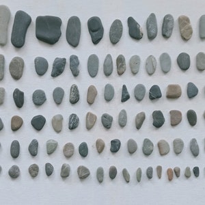98 Elongated Flat Sea Pebbles for Pebble Art and DIY Supplies Mineral ...