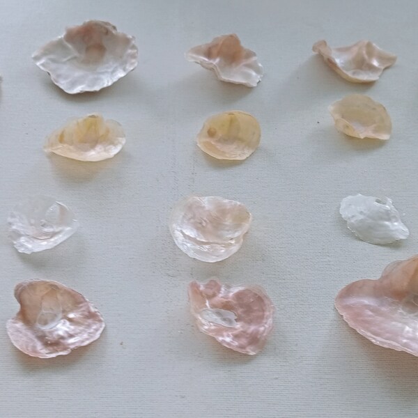 Sea Shell Mirror - Etsy