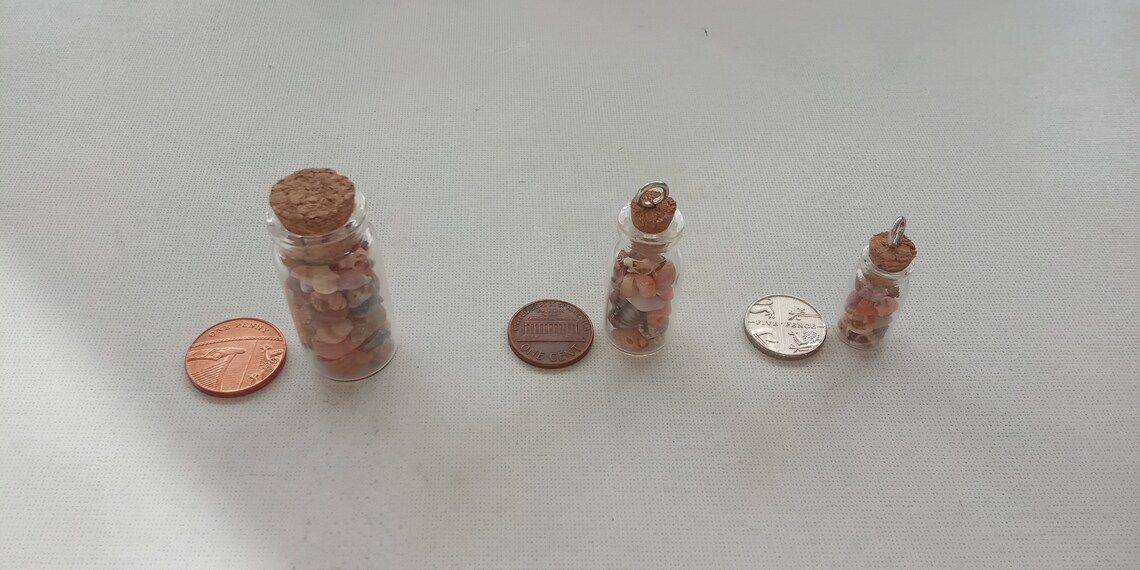 Small Sea Shells in Glass Bottle for Miniature Garden - Etsy