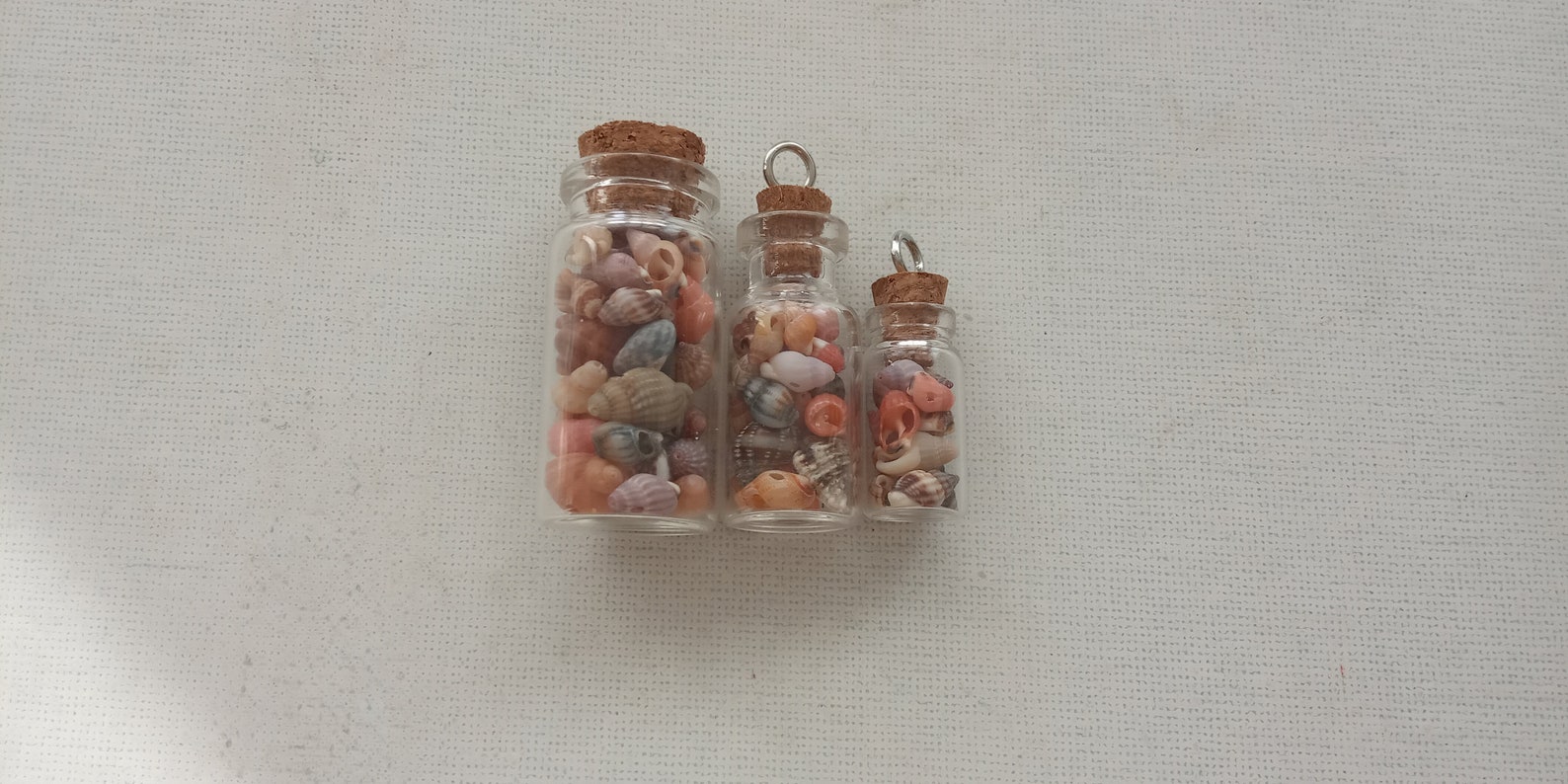 Small Sea Shells in Glass Bottle for Miniature Garden - Etsy