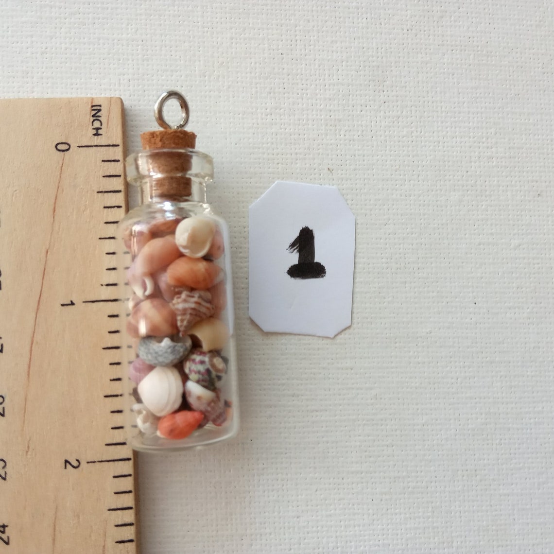 Small Sea Shells in Glass Bottle for Miniature Garden | Etsy