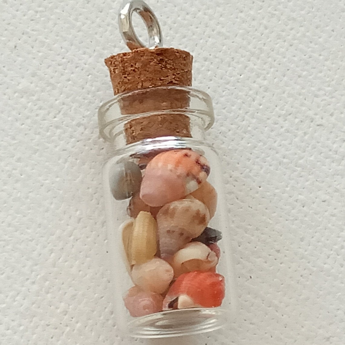 Small Sea Shells in Glass Bottle for Miniature Garden | Etsy