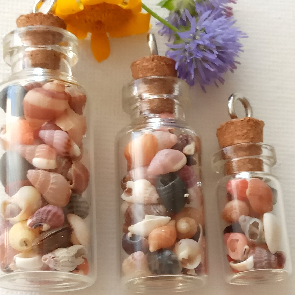 Small Sea Shells in Glass Bottle for Miniature Garden | Etsy