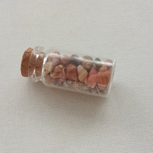 Small Sea Shells in Glass Bottle for Miniature Garden Accesories Tiny ...
