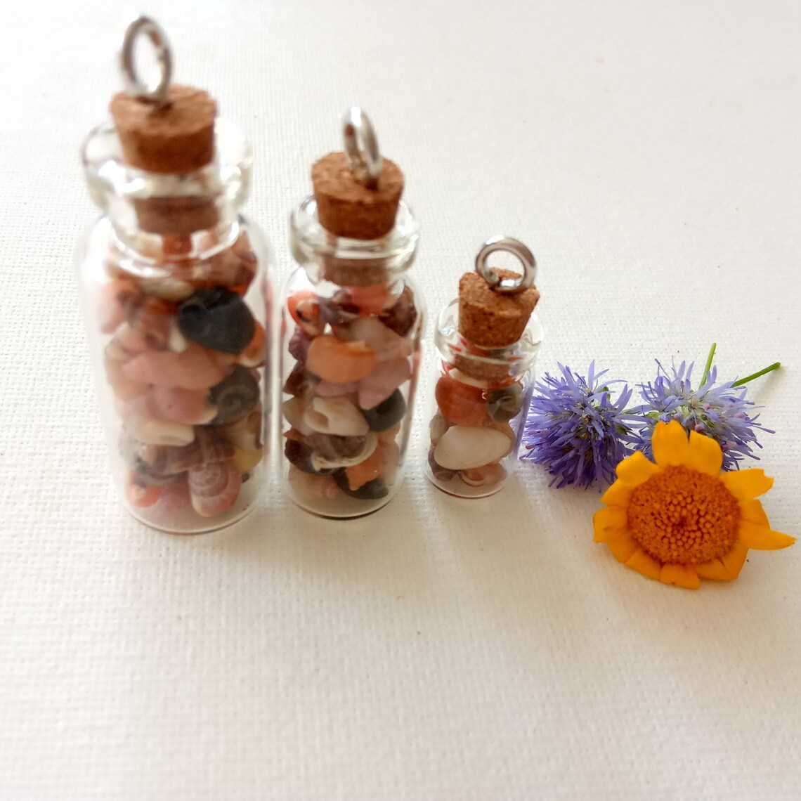 Small Sea Shells in Glass Bottle for Miniature Garden | Etsy