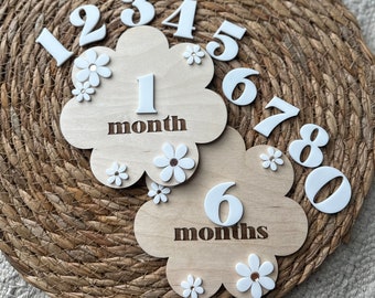Baby Milestone Markers 3D Monthly Plaque Wood Age Signs Newborn Shower ...