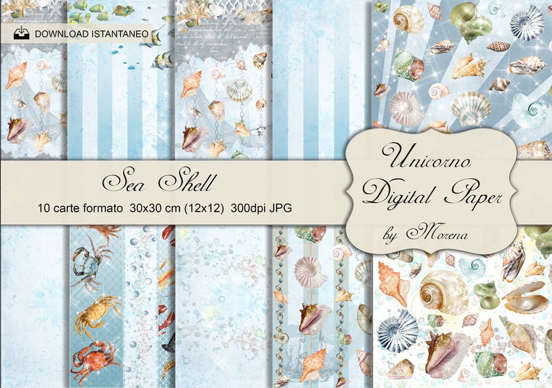Sea Shell, Shellfish, Sea, Ocean, Digital Paper, Barrier Reef, Nautical ...