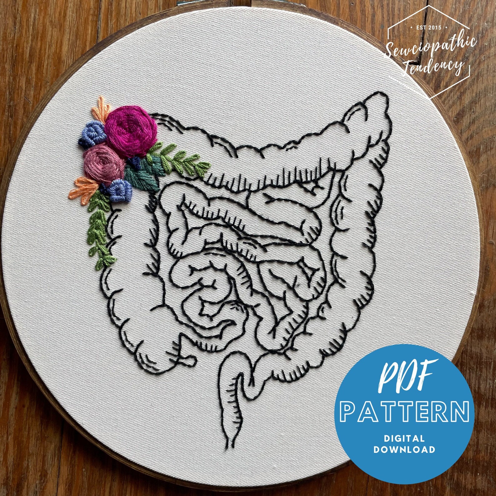 Anatomical Intestines Embroidery - PDF Pattern Download - Etsy