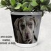 Dye Sublimation Flower Pot Mockup | Add Your Own Image and Background ...