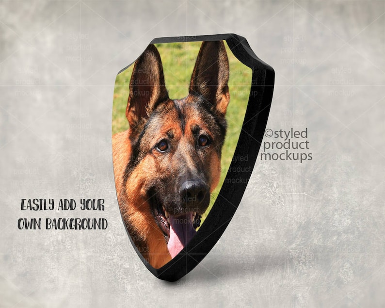 Shield Plaque Mockup | Front & Side View (PSD, PNG) - Etsy